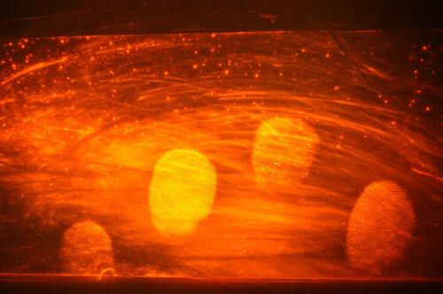 Alternate Light Source Photography: Basic understanding of emerging ...