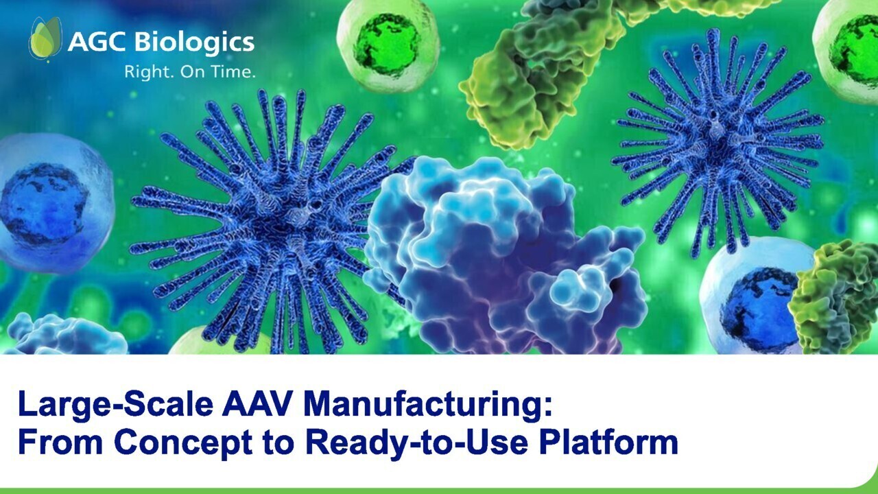 Large-Scale AAV Manufacturing: The Road from Concept to Ready-to-Use ...