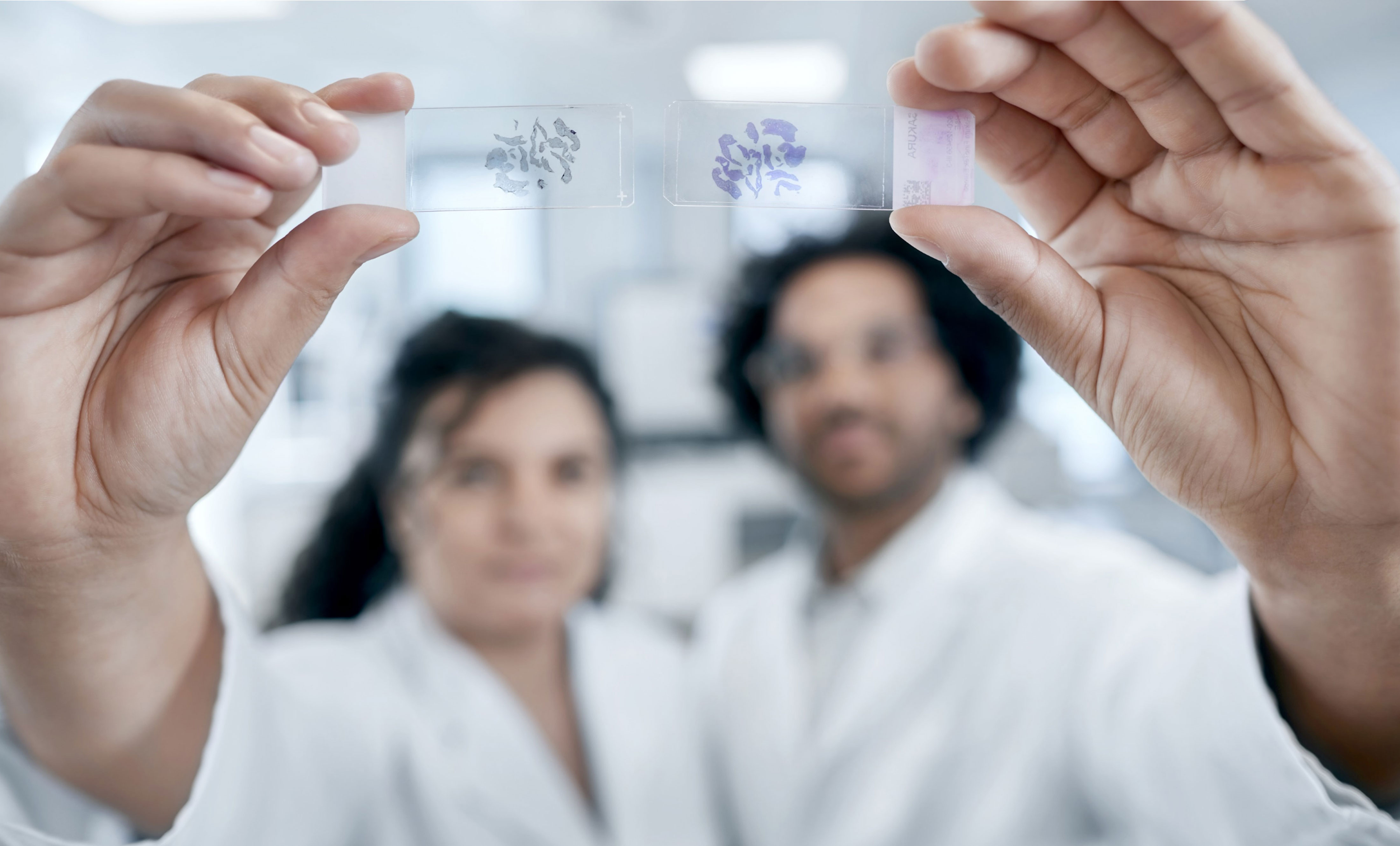 External Quality Assessment for Pathology Laboratories | Sakura Finetek ...