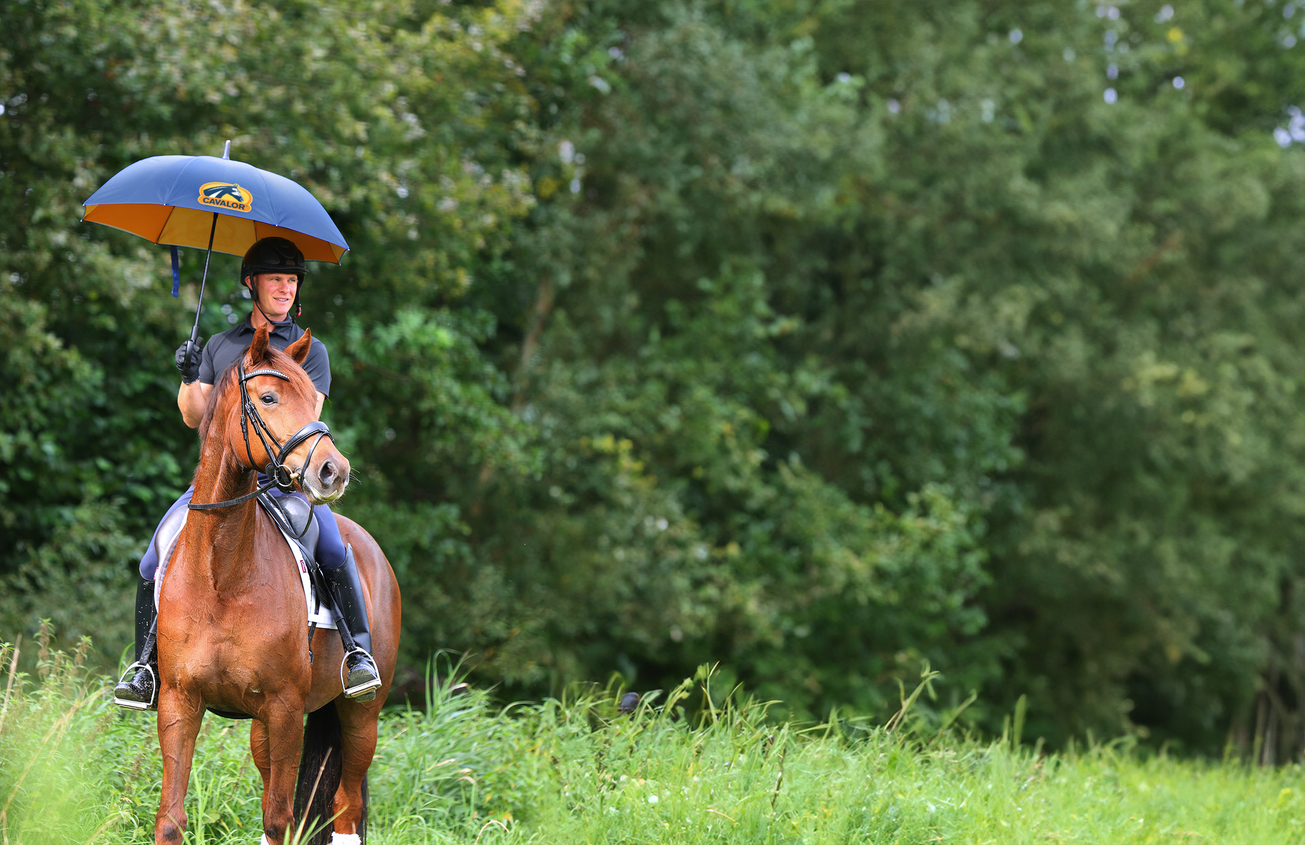 Help! My horse is too fresh and excitable